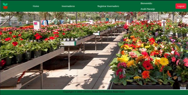 Anahi Naranjo - Eldinosaur | Portfolio